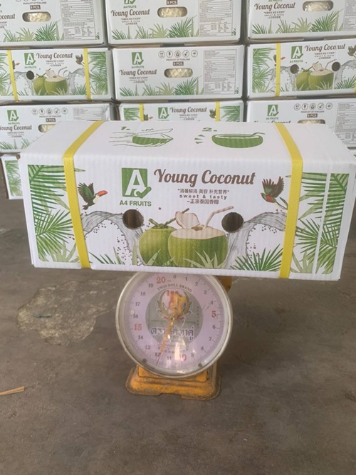 ed1 (9) - Ladyissue เว็บรีวิวเครื่องสำอาง ชุมชนผู้หญิง ฮาวทูแต่งหน้า อัพเดทแบรนด์เนม เทรนด์ ...