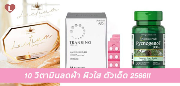 10 วิตามินลดฝ้า ผิวใส ตัวเด็ด 2566!! - Ladyissue เว็บรีวิวเครื่องสำอาง ชุมชนผู้หญิง ฮาวทู ...