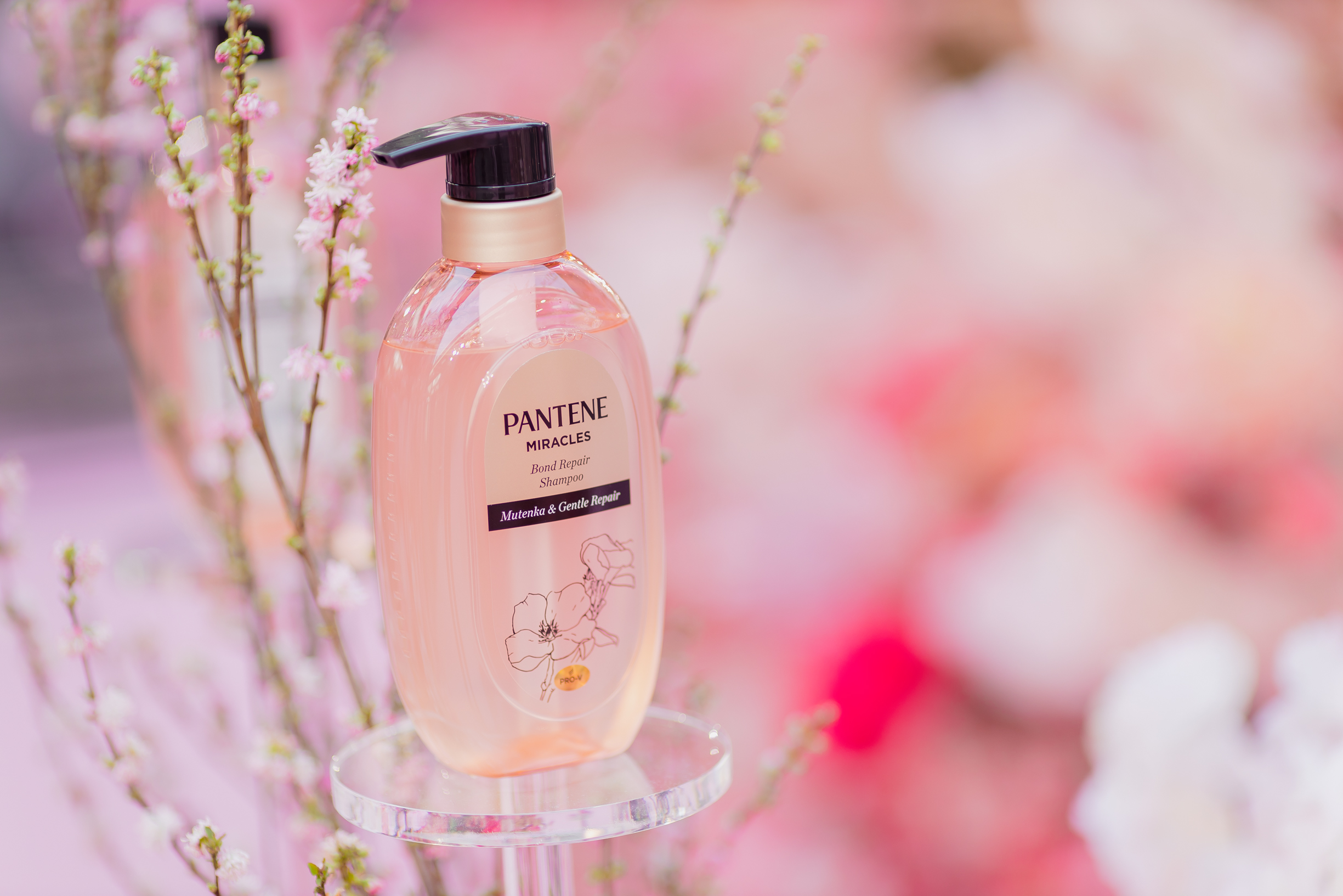 Pantene Miracles Japan Premium Edition - Ladyissue เว็บรีวิว ...
